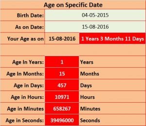 Ready-To-Use Age Calculator Excel Template - MSOfficeGeek